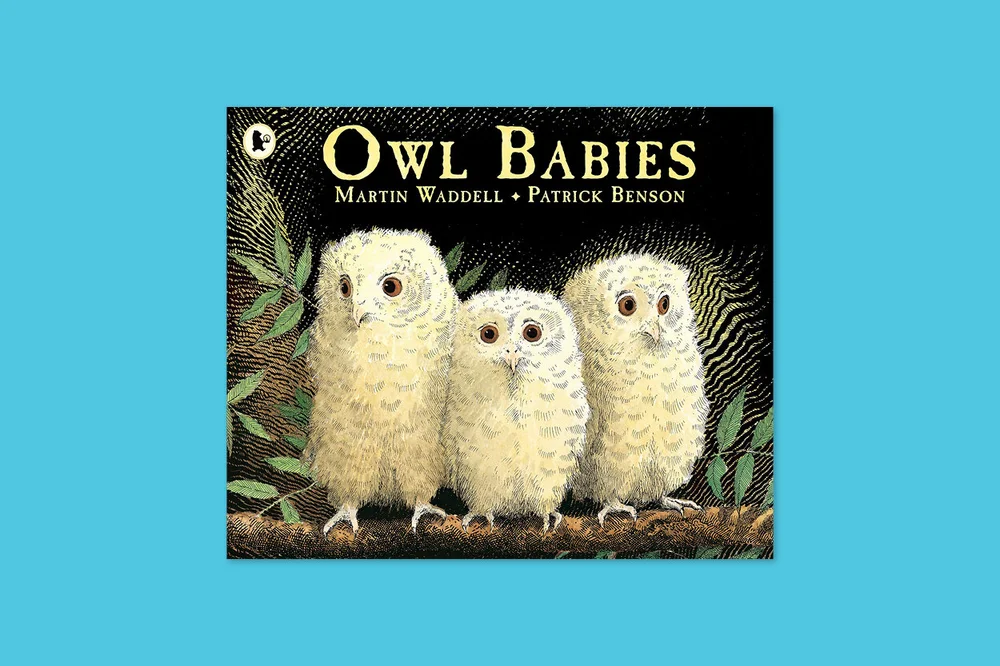 Starting Points: Amara and the Bats — Primary English Education Consultancy