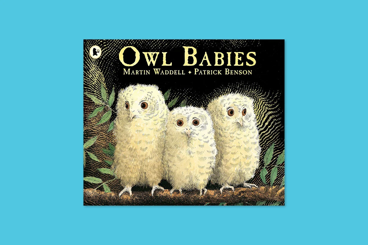 Starting Points: Amara and the Bats — Primary English Education Consultancy