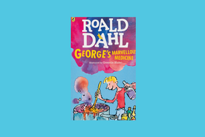 Whole Class Guided Reading Roald Dahl Bundle — Primary English ...