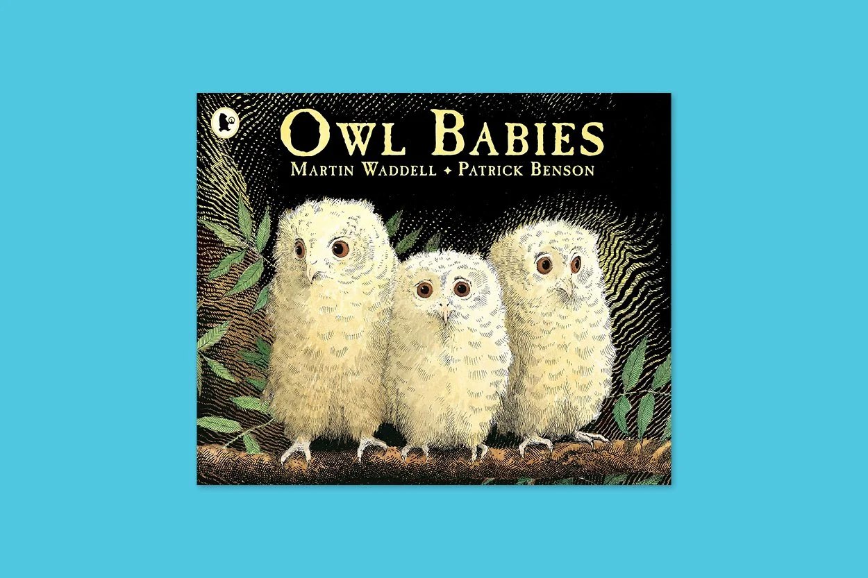 Tidy Guided Reading Pack — Primary English Education Consultancy