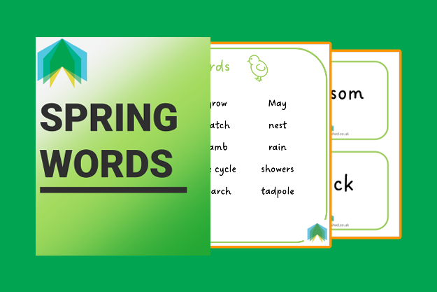 Hidden Figures Planning — Primary English Education Consultancy