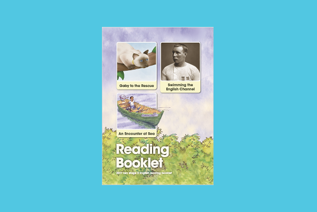 Skellig Whole Class Reading Sequence — Primary English Education ...