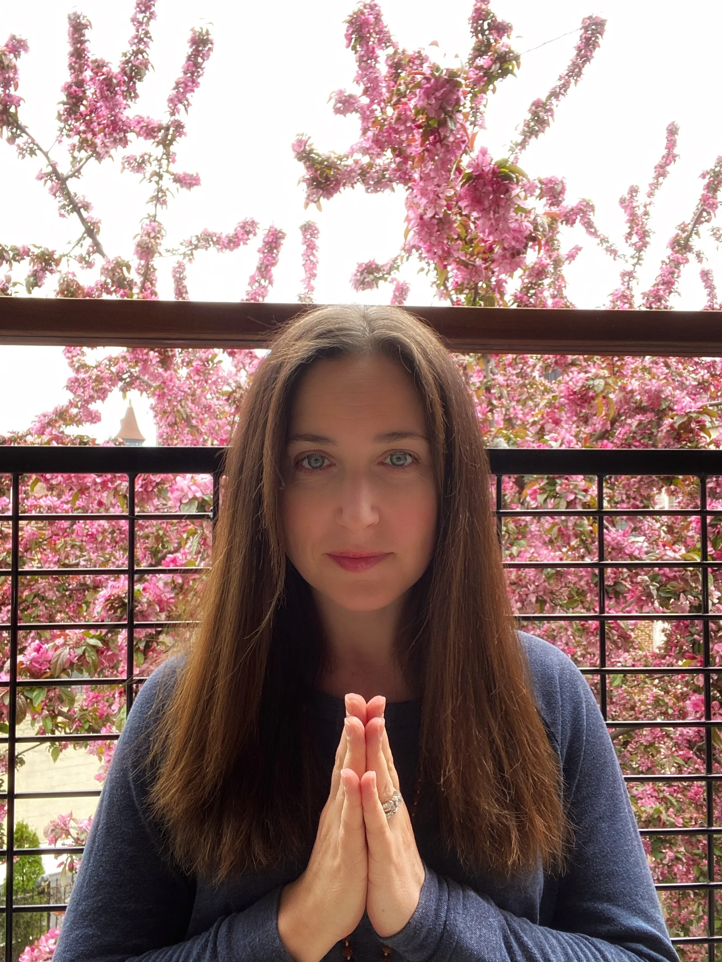 No. 24 The Field of Infinite Possibility & Breathwork with Alyse Bacine ...