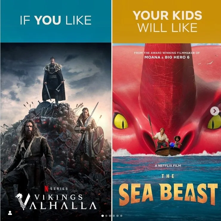 Netflix — a very good portfolio