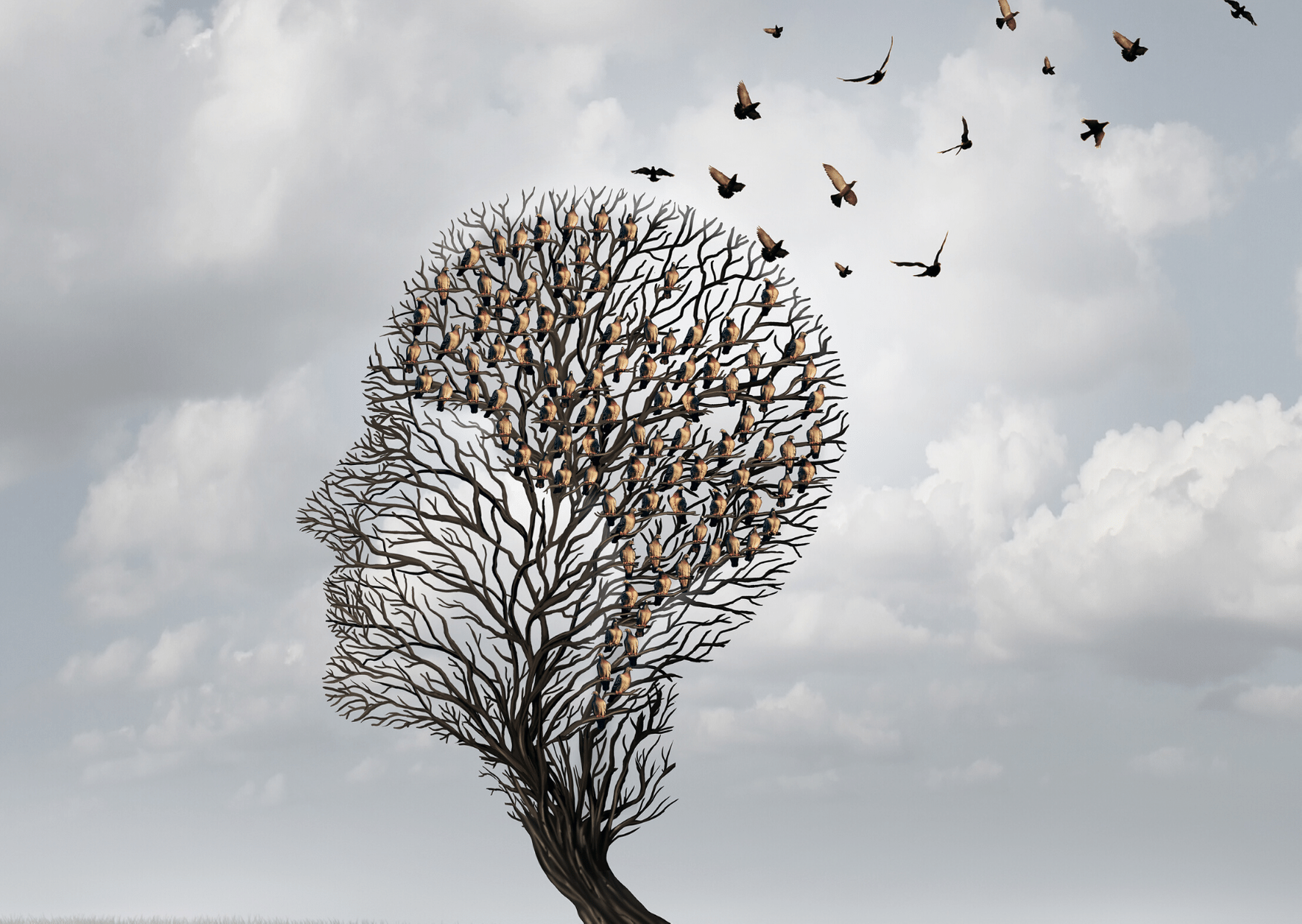 Memory Explained: Psychology Article For University Applicants — Minds ...