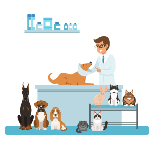 Veterinary Science Summer School — Minds Underground