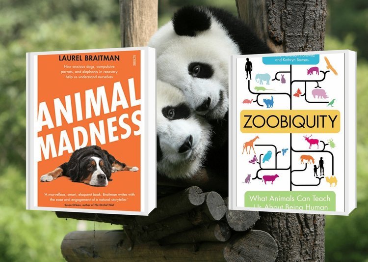 Veterinary Essay Competition — Minds Underground