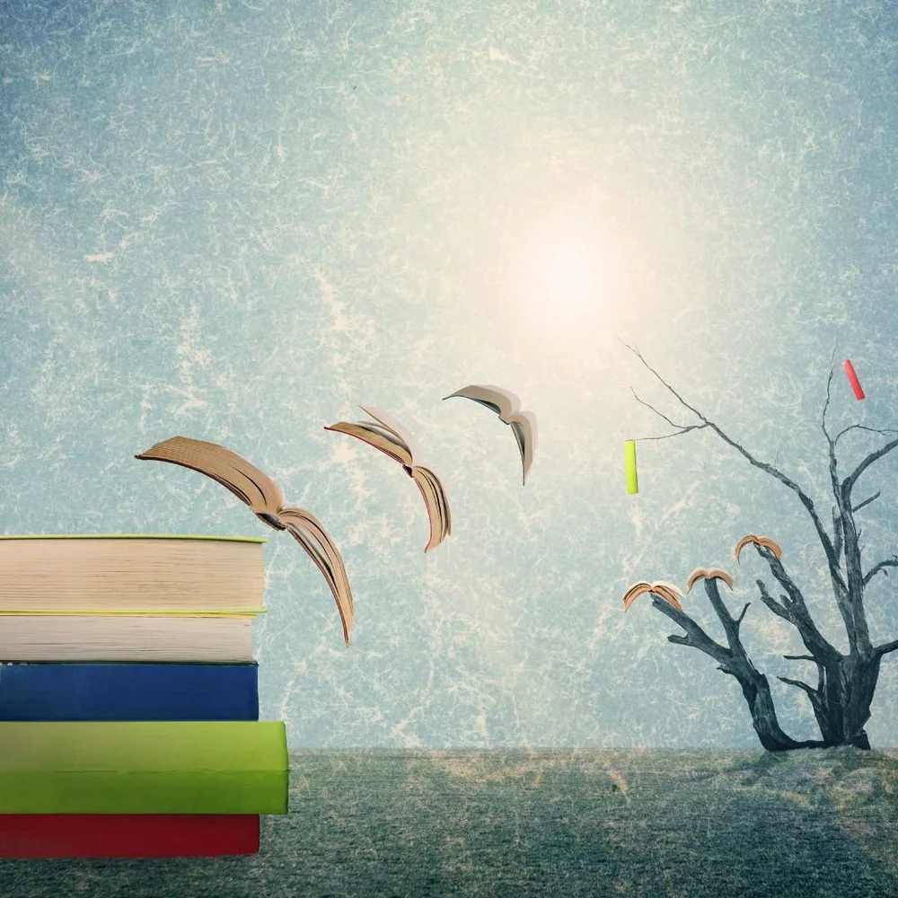 Online Summer Schools — Minds Underground
