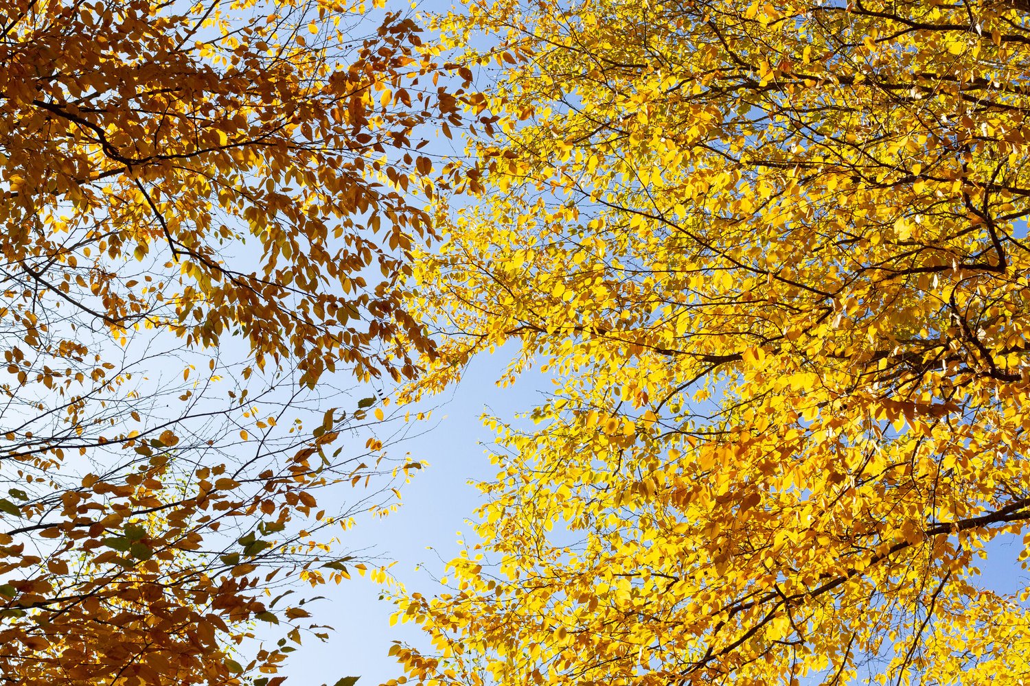 Emma Kelly Landscape