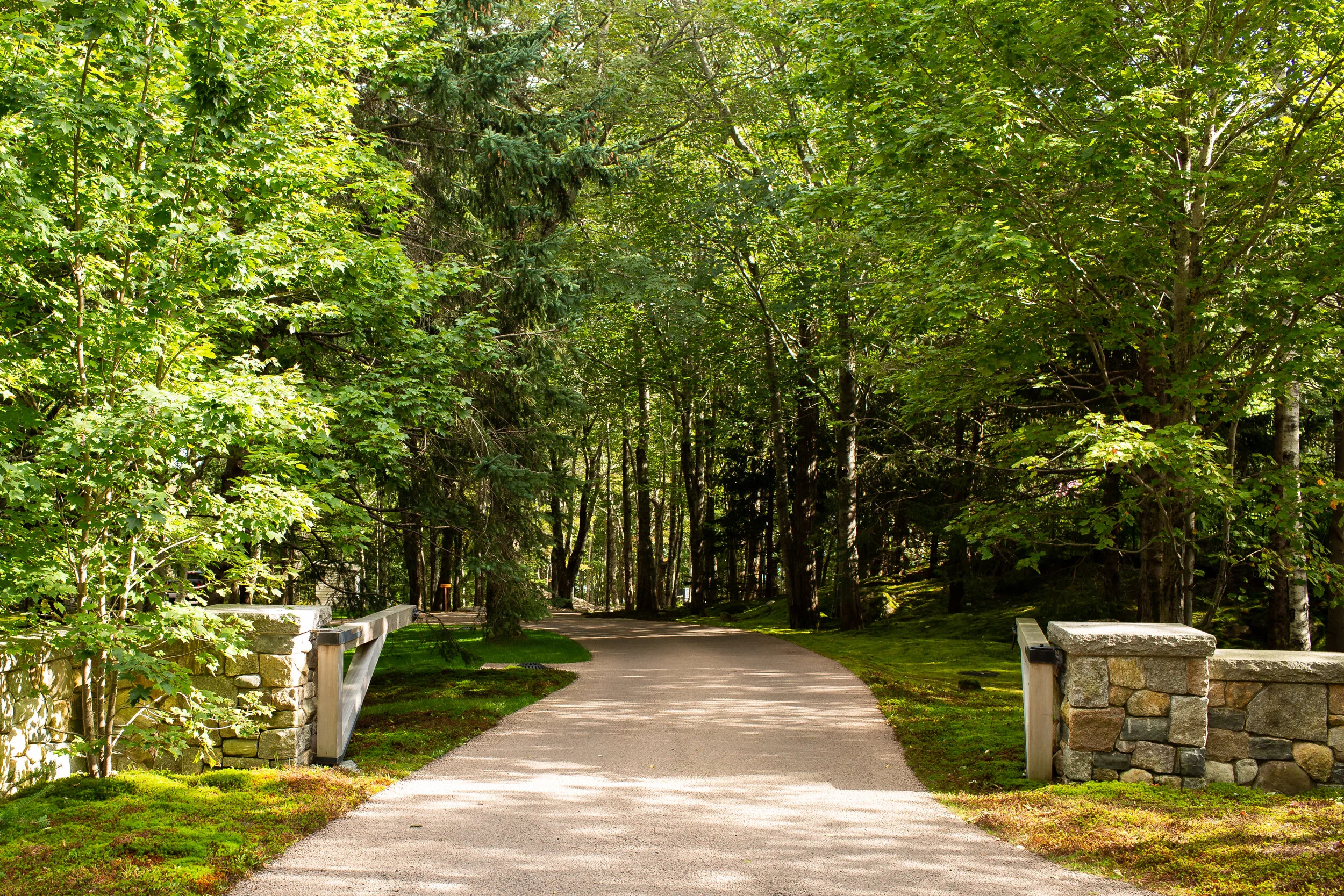 Hunters Head Estate — Emma Kelly Landscape