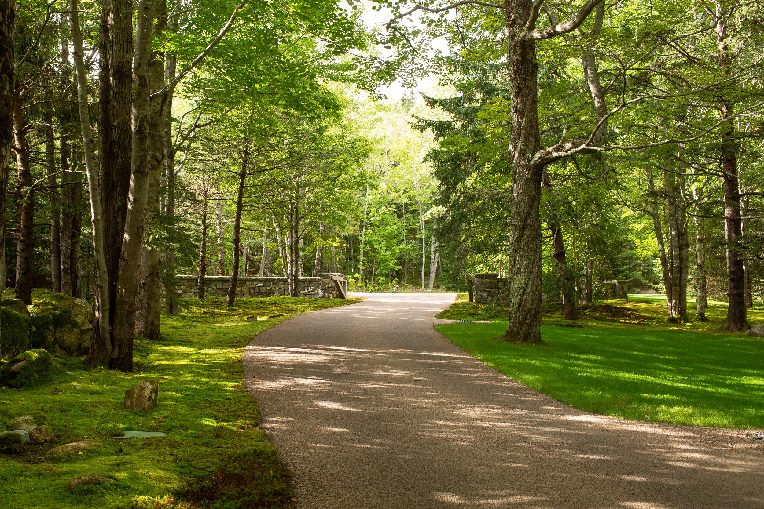 Hunters Head Estate — Emma Kelly Landscape