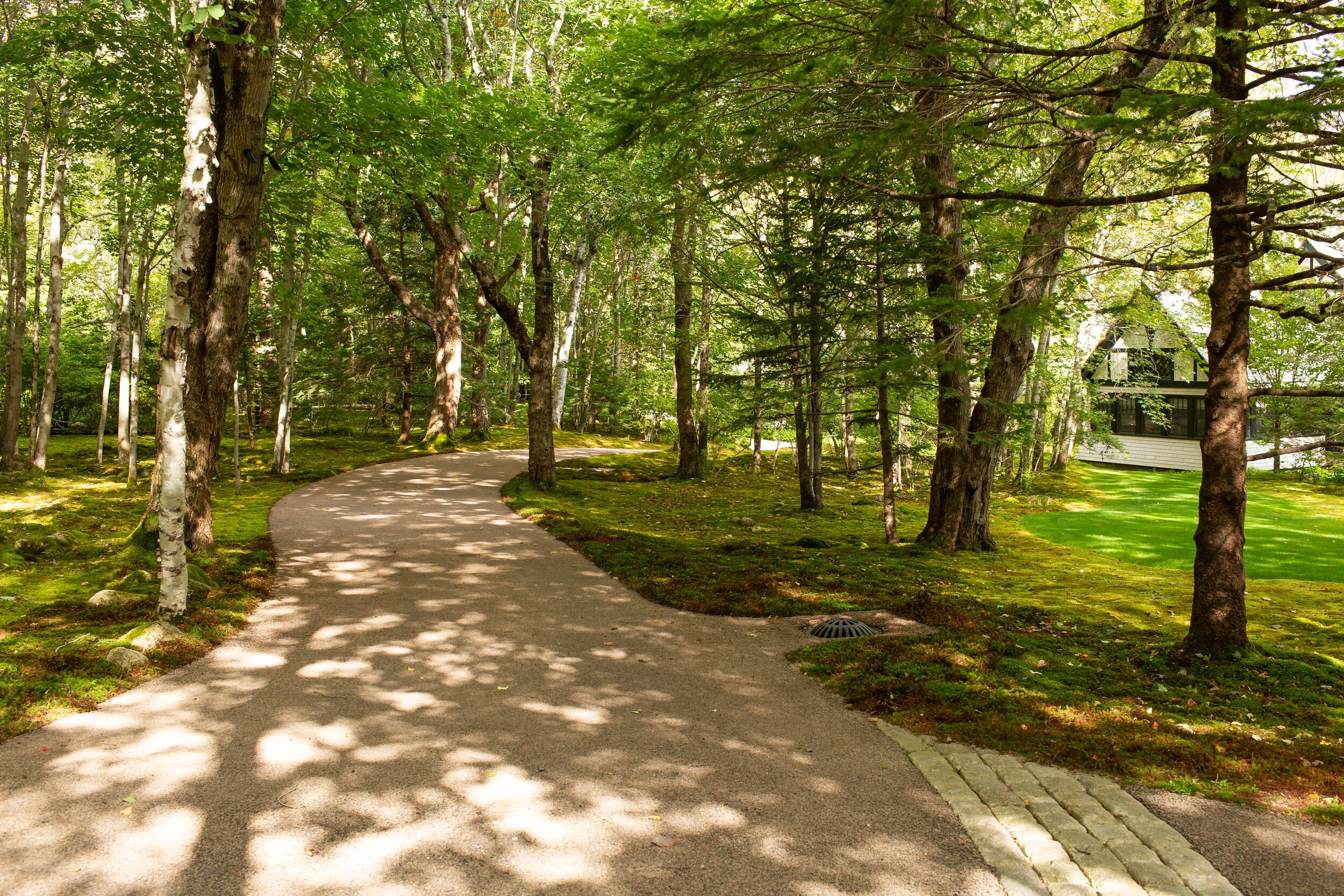 Hunters Head Estate — Emma Kelly Landscape