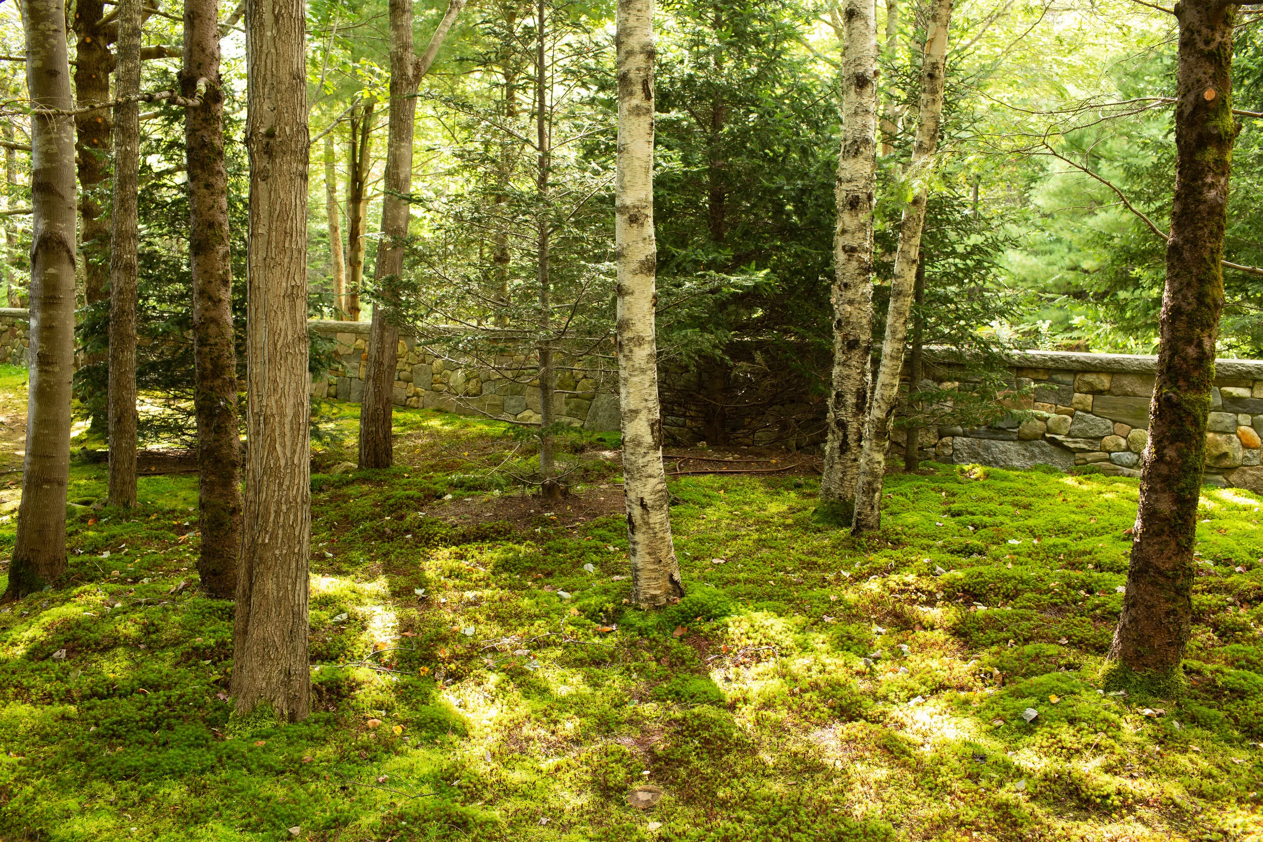 Hunters Head Estate — Emma Kelly Landscape