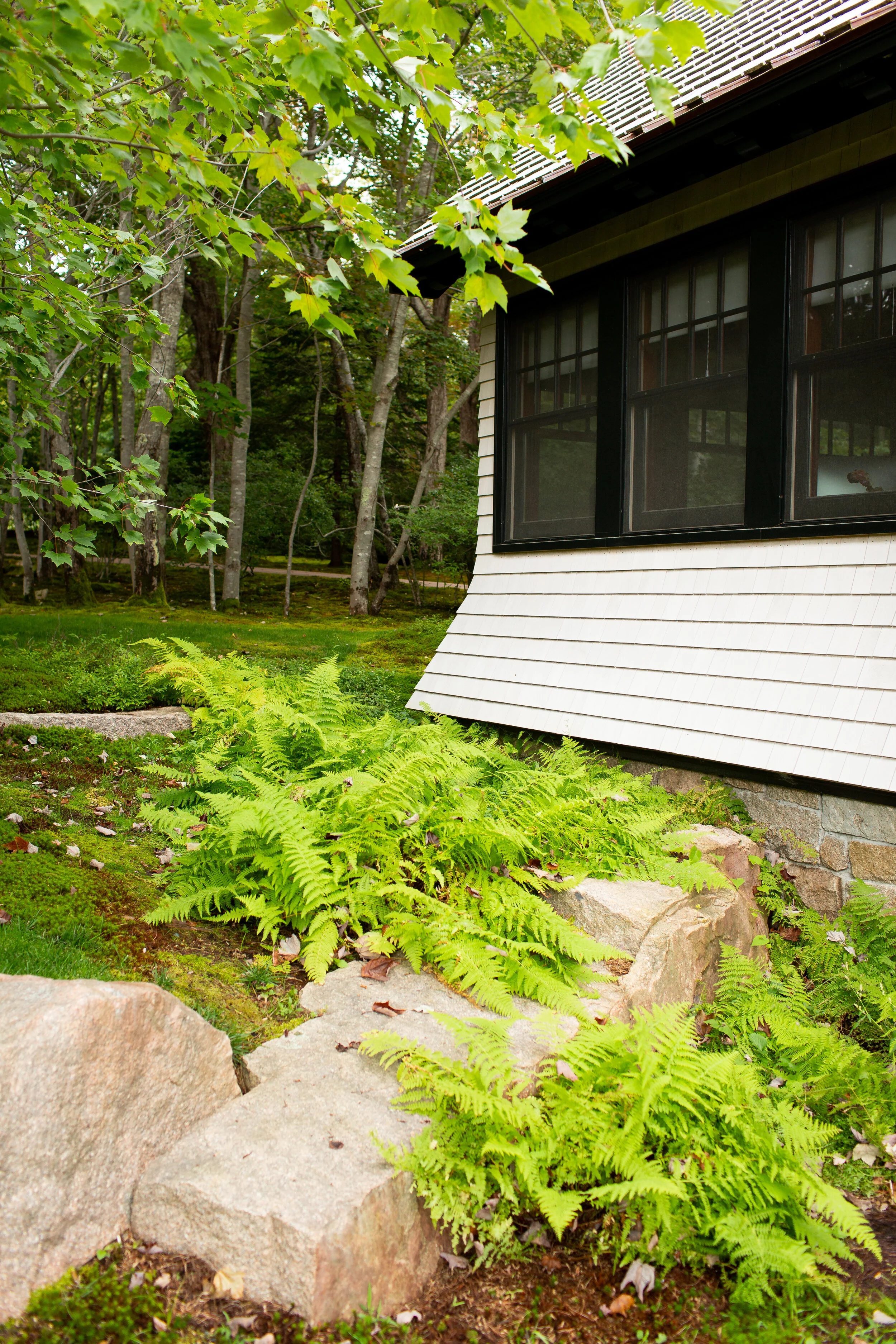 Hunters Head Estate — Emma Kelly Landscape