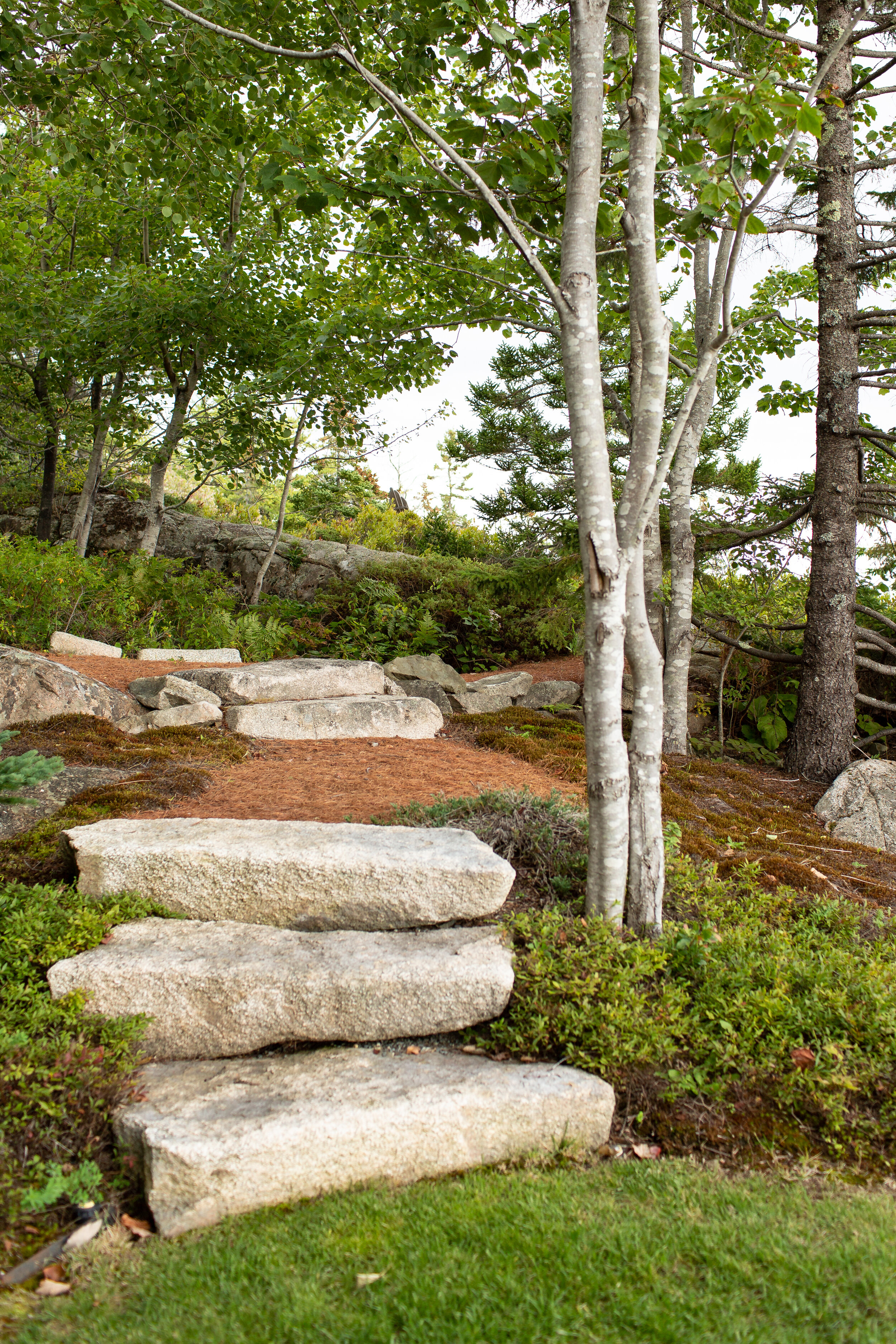 Hunters Head Estate — Emma Kelly Landscape