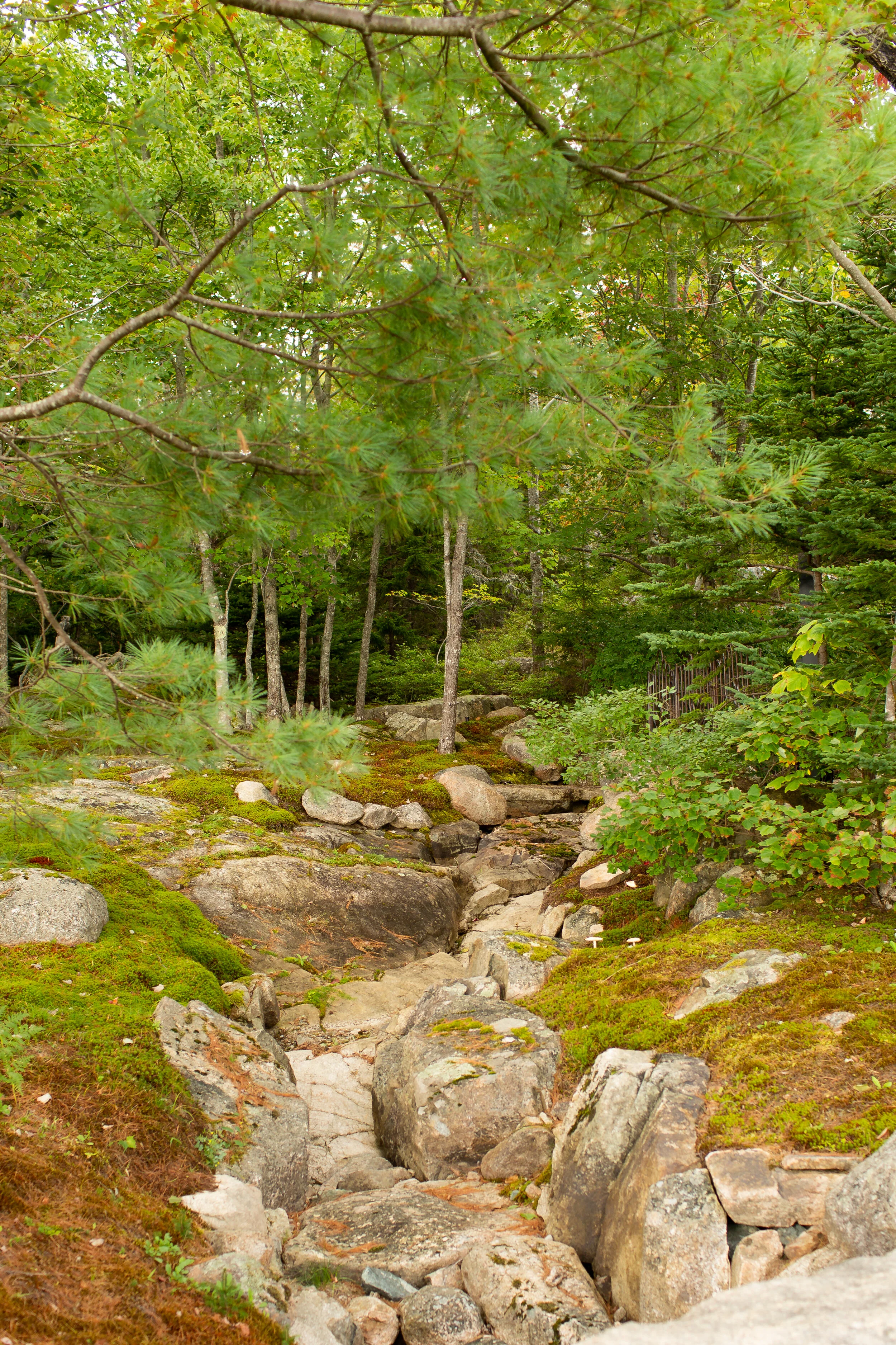 Hunters Head Estate — Emma Kelly Landscape