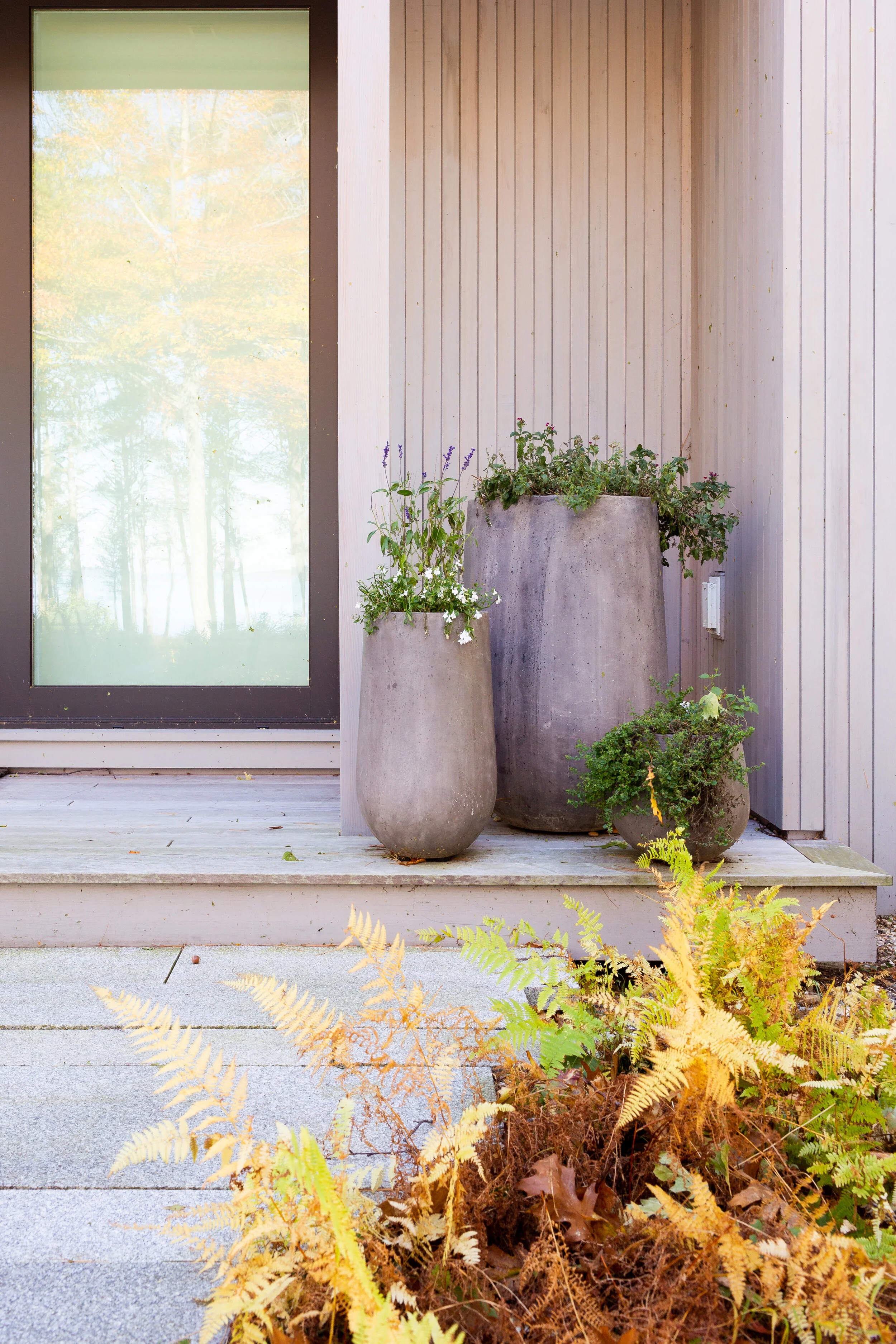 Littlejohn Retreat — Emma Kelly Landscape