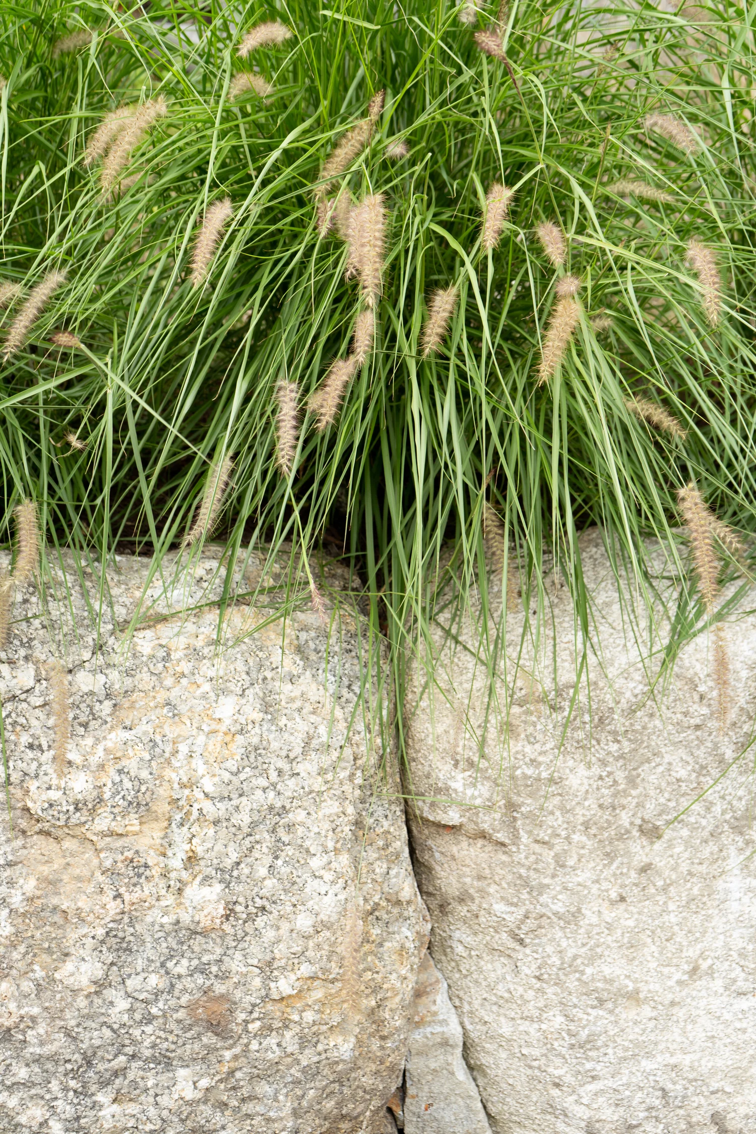 Emma Kelly Landscape