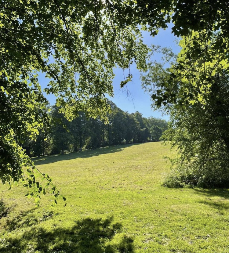 Photos of the park — Friends of Cotteridge Park