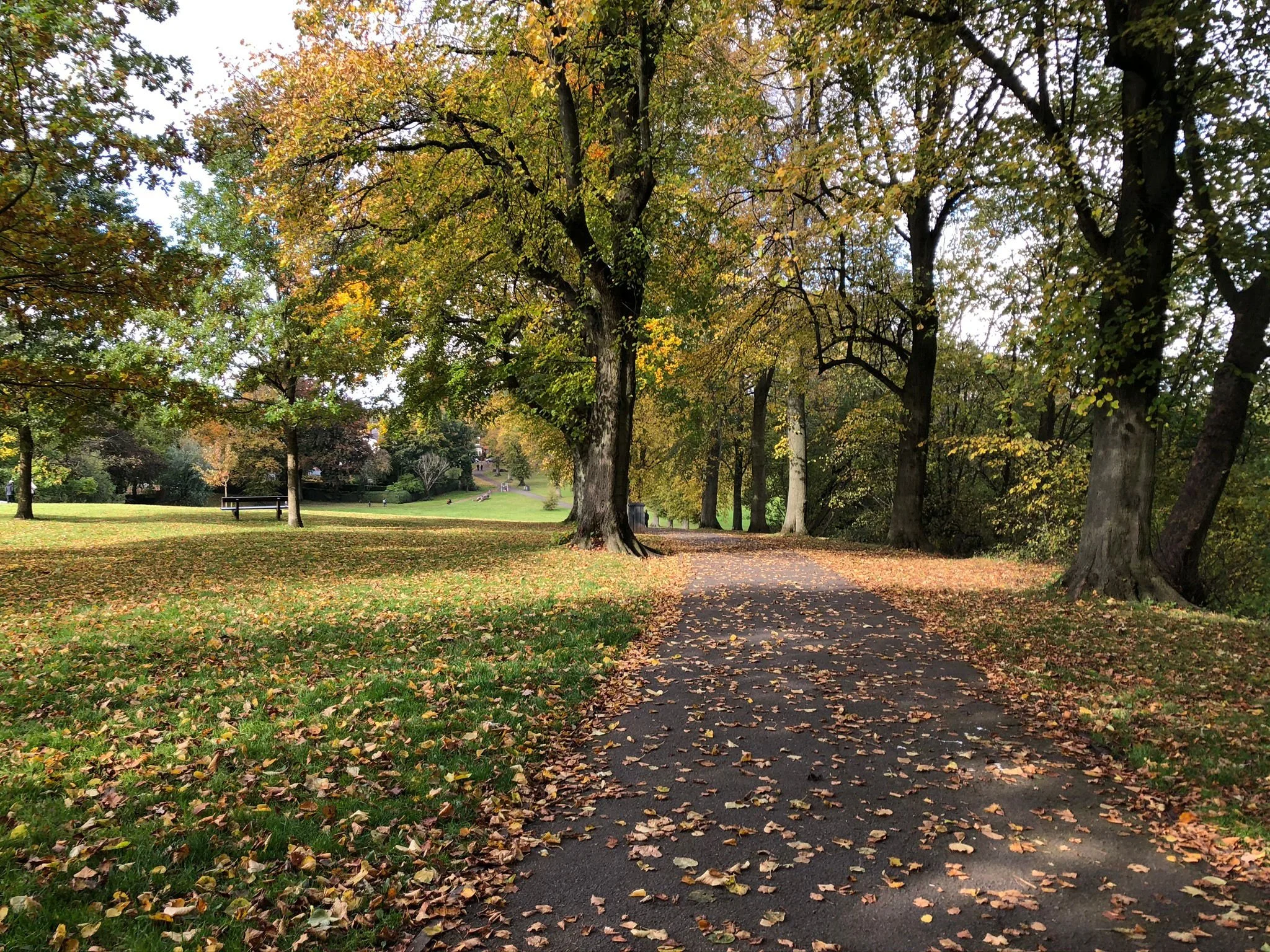 What's here — Friends of Cotteridge Park