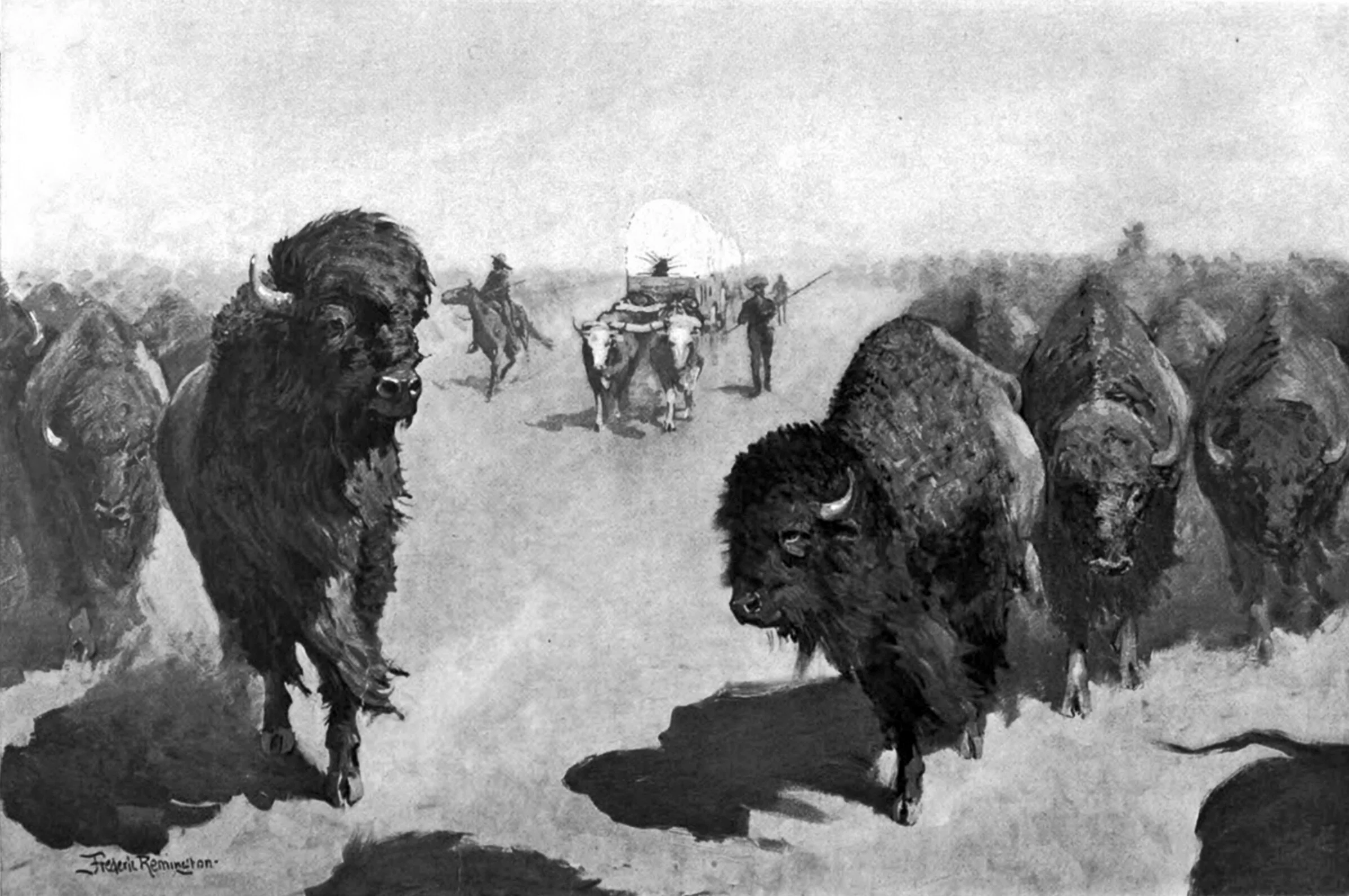 Buffalo Hunting — MayaIncaAztec.com