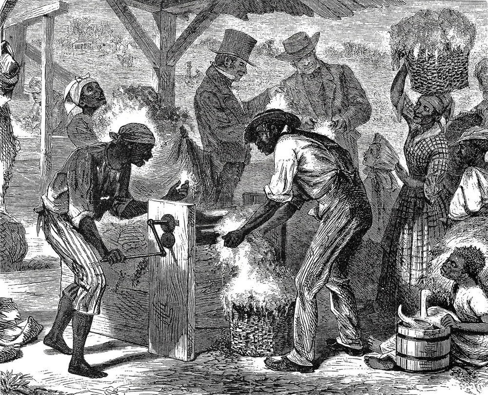 Eli Whitney and the Cotton Gin — MayaIncaAztec.com