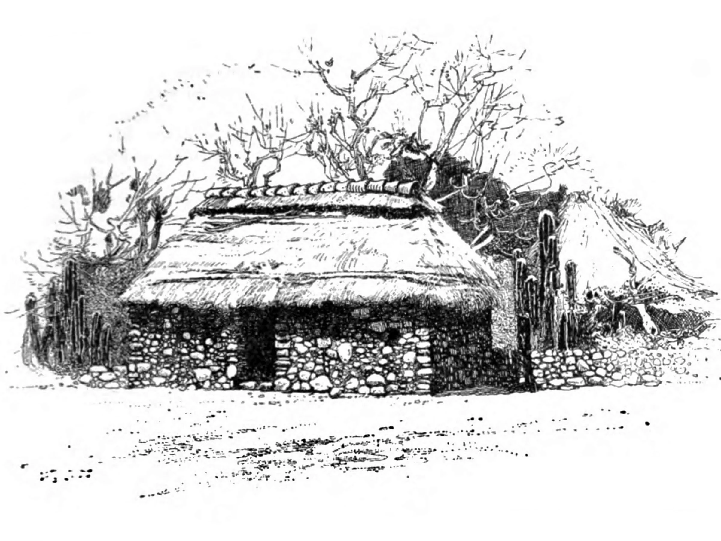 Aztec Architecture — MayaIncaAztec.com