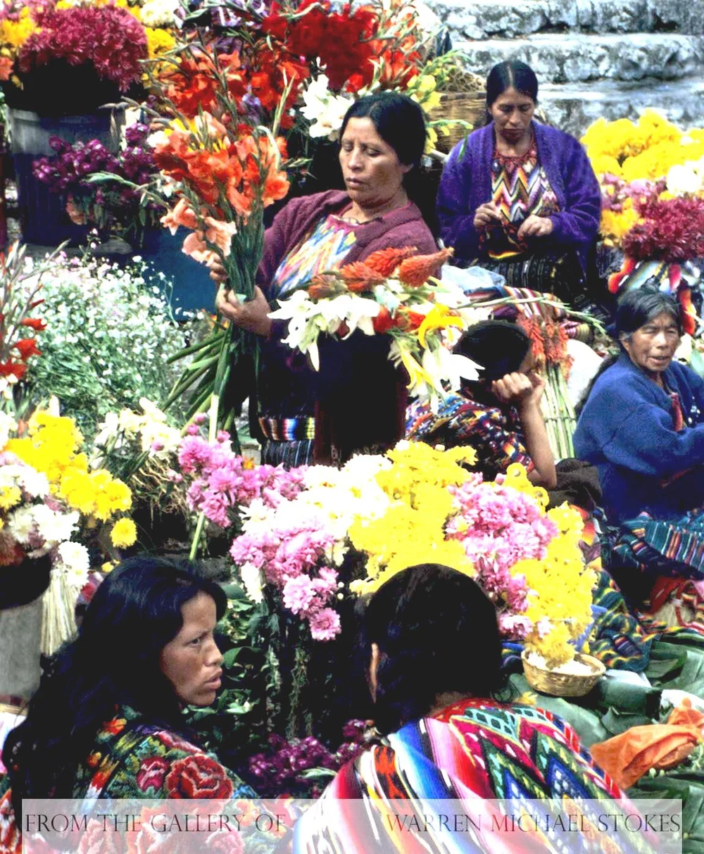 Maya Agriculture — MayaIncaAztec.com