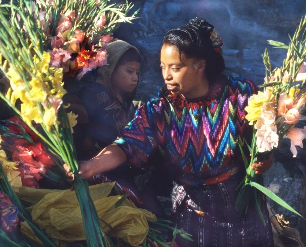 Maya Agriculture — MayaIncaAztec.com