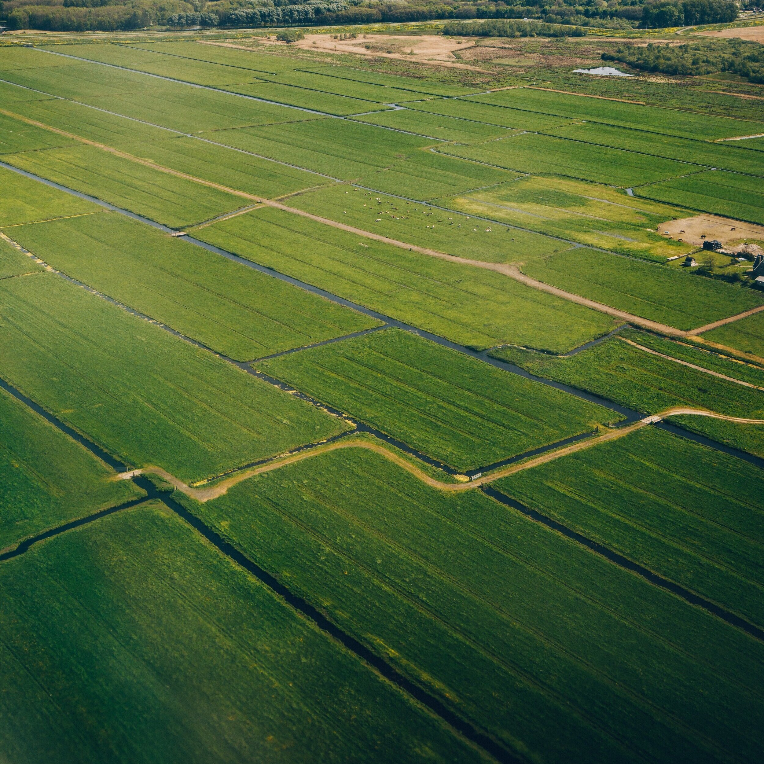 GroPoint Soil Moisture Sensing
