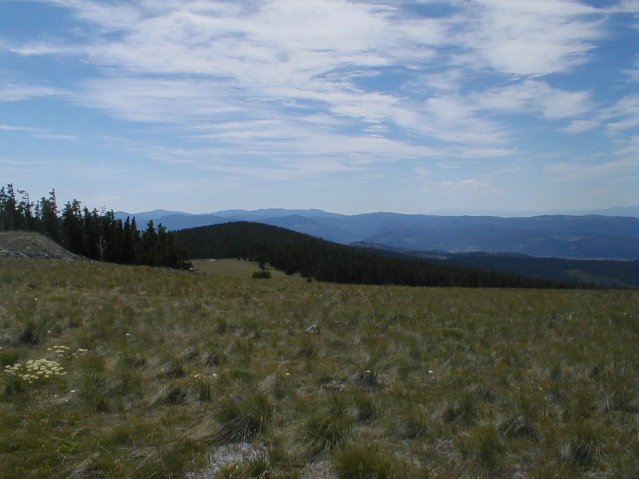 Past Accomplishments — HELENA HUNTERS & ANGLERS