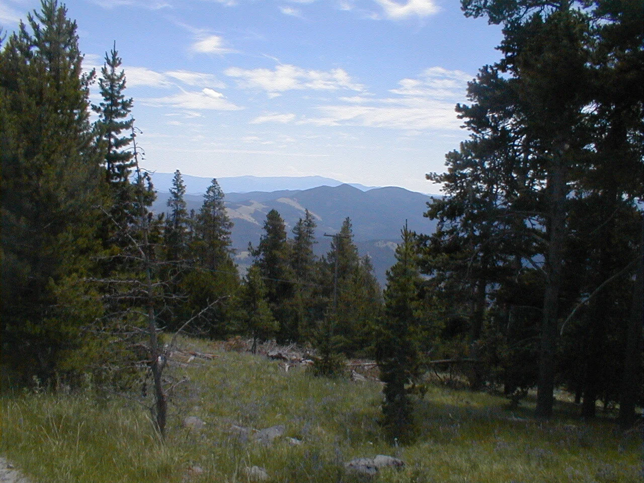 Past Accomplishments — HELENA HUNTERS & ANGLERS