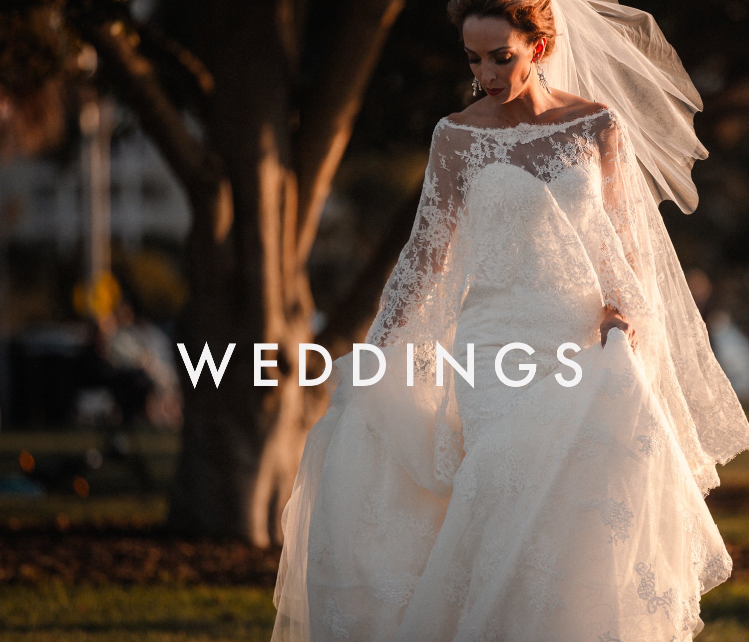 PHOTOGRAPHY — Damon Cameron