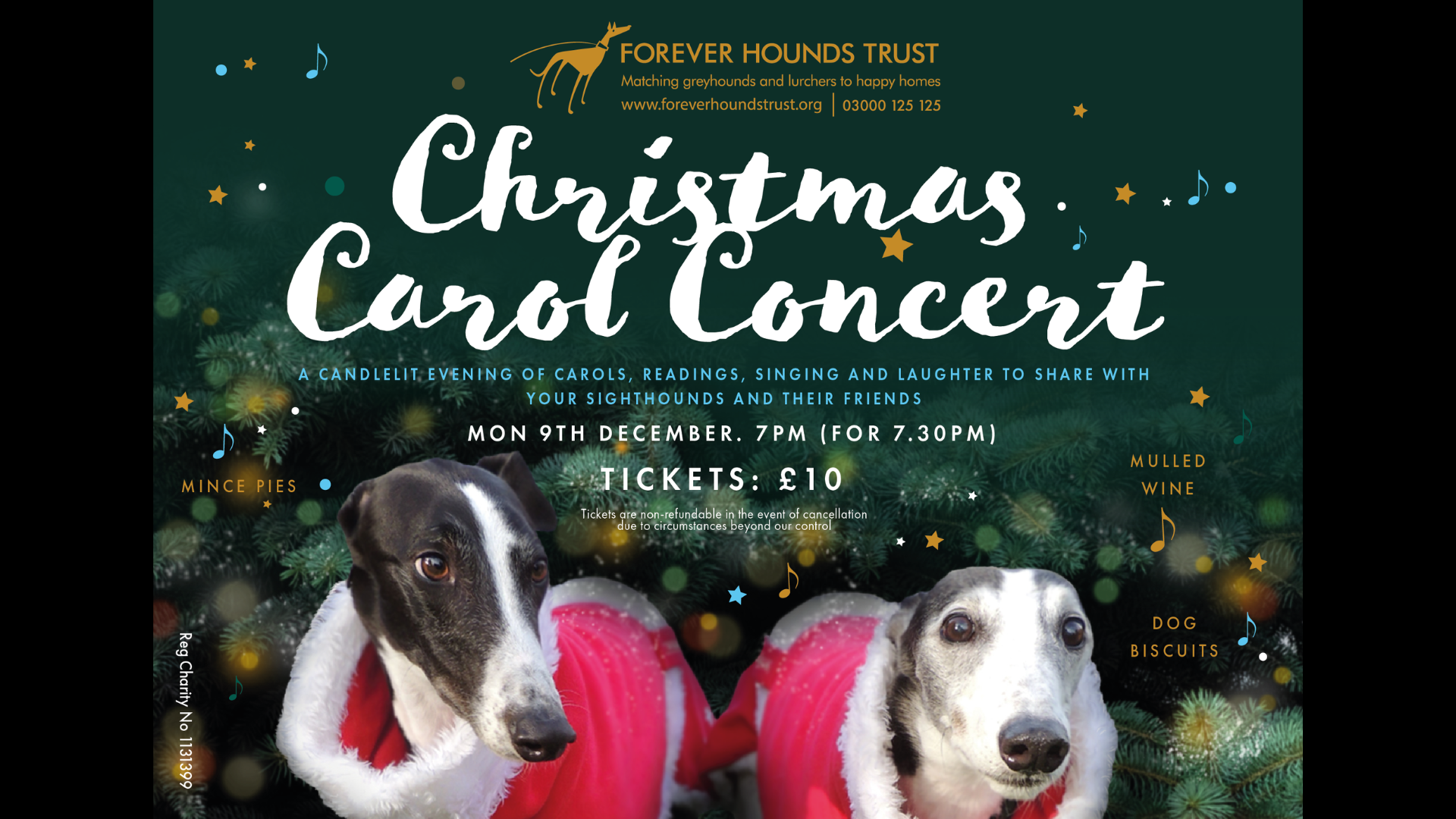 Forever Hounds Carol Concert — St Michael's Bath