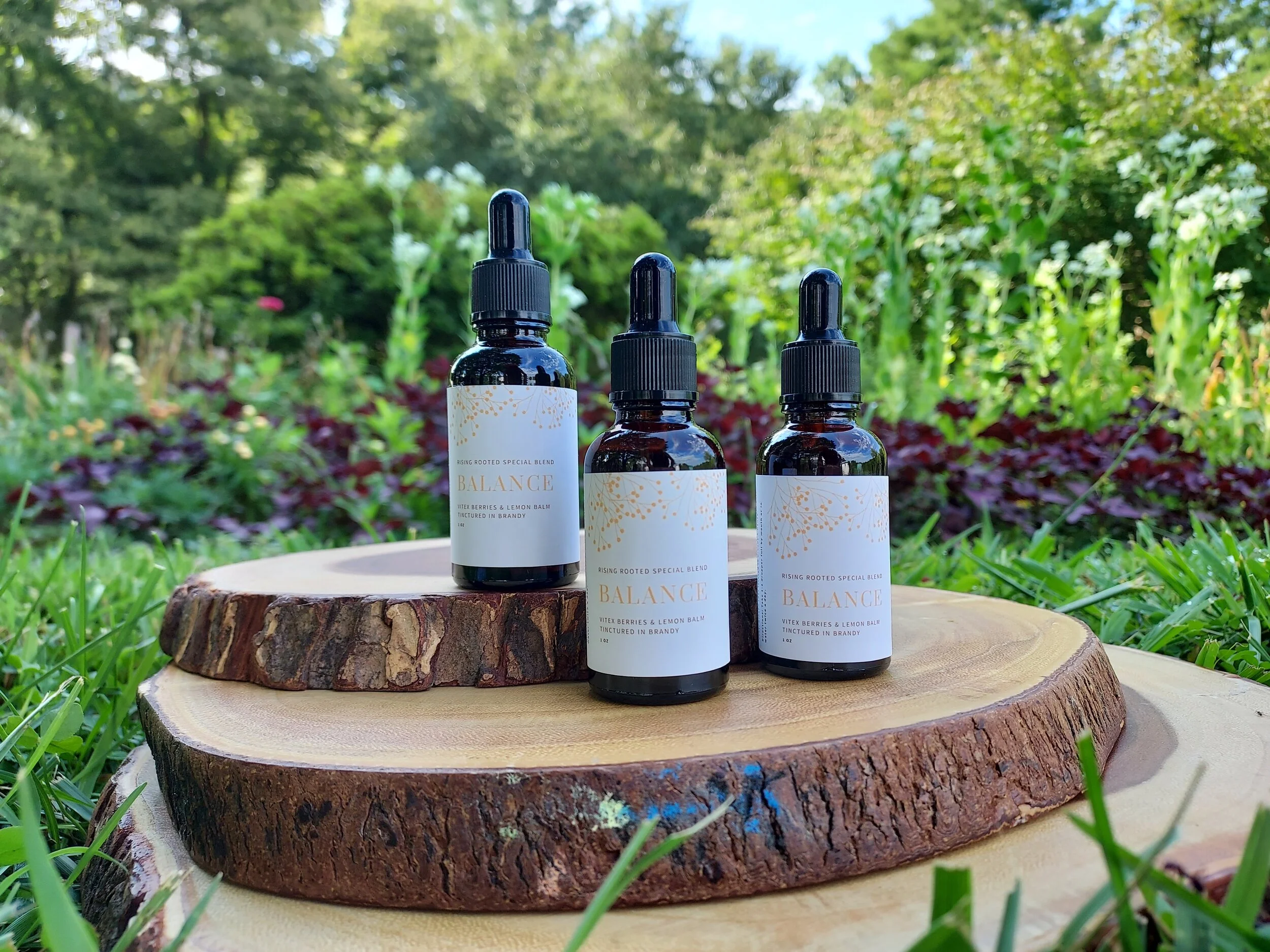 Apothecary — Rising Rooted