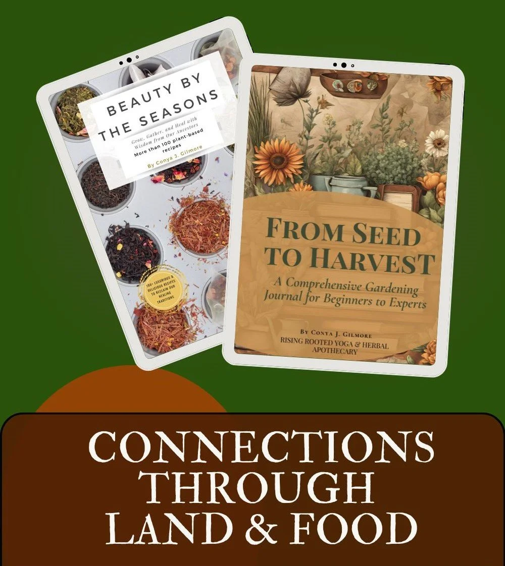 The Importance of Tracking Your Garden Process Year-Round: A Journey ...