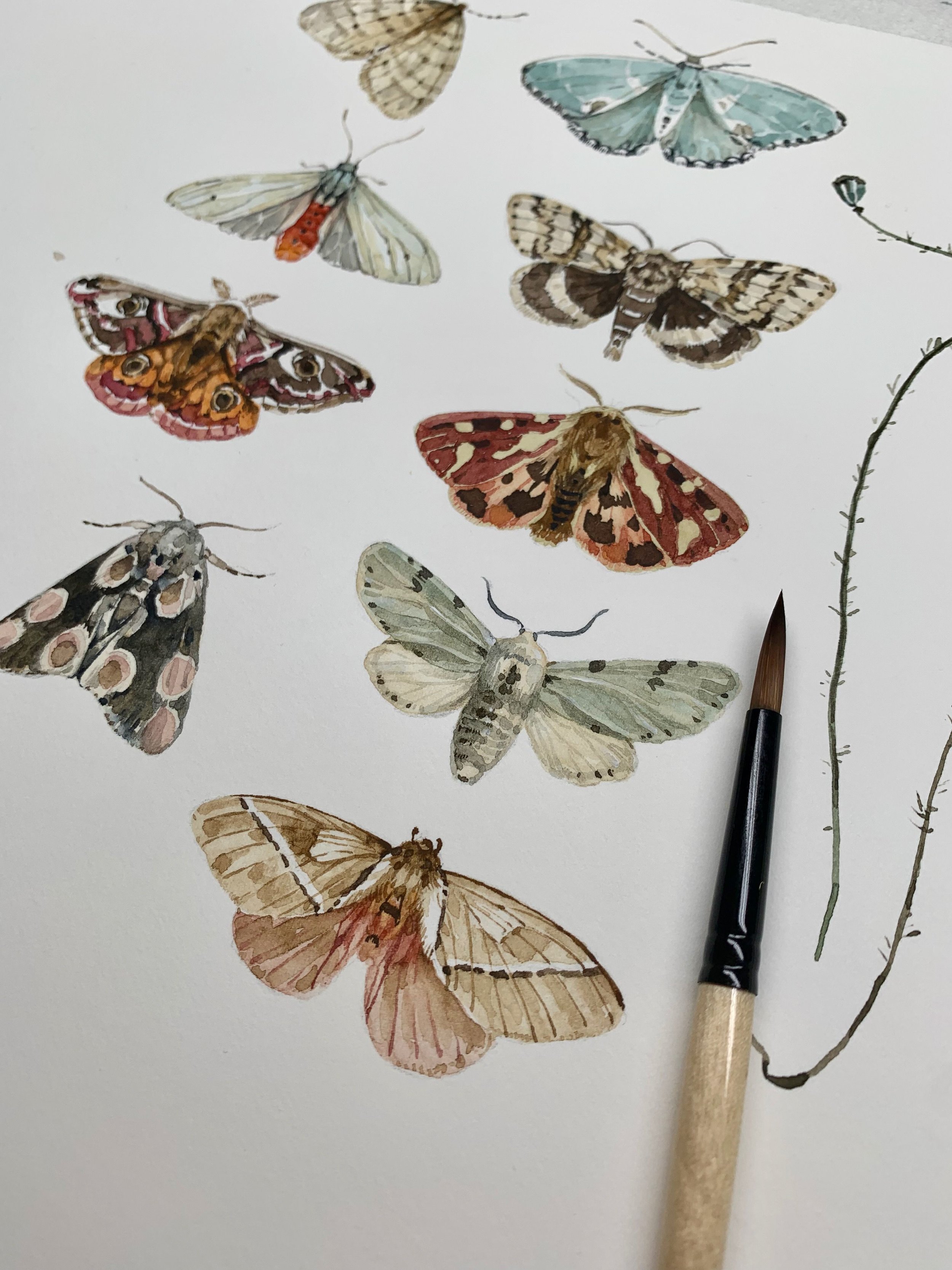 Florida Watercolor Workshop — Lisa Audit Art — Lisa Audit Art