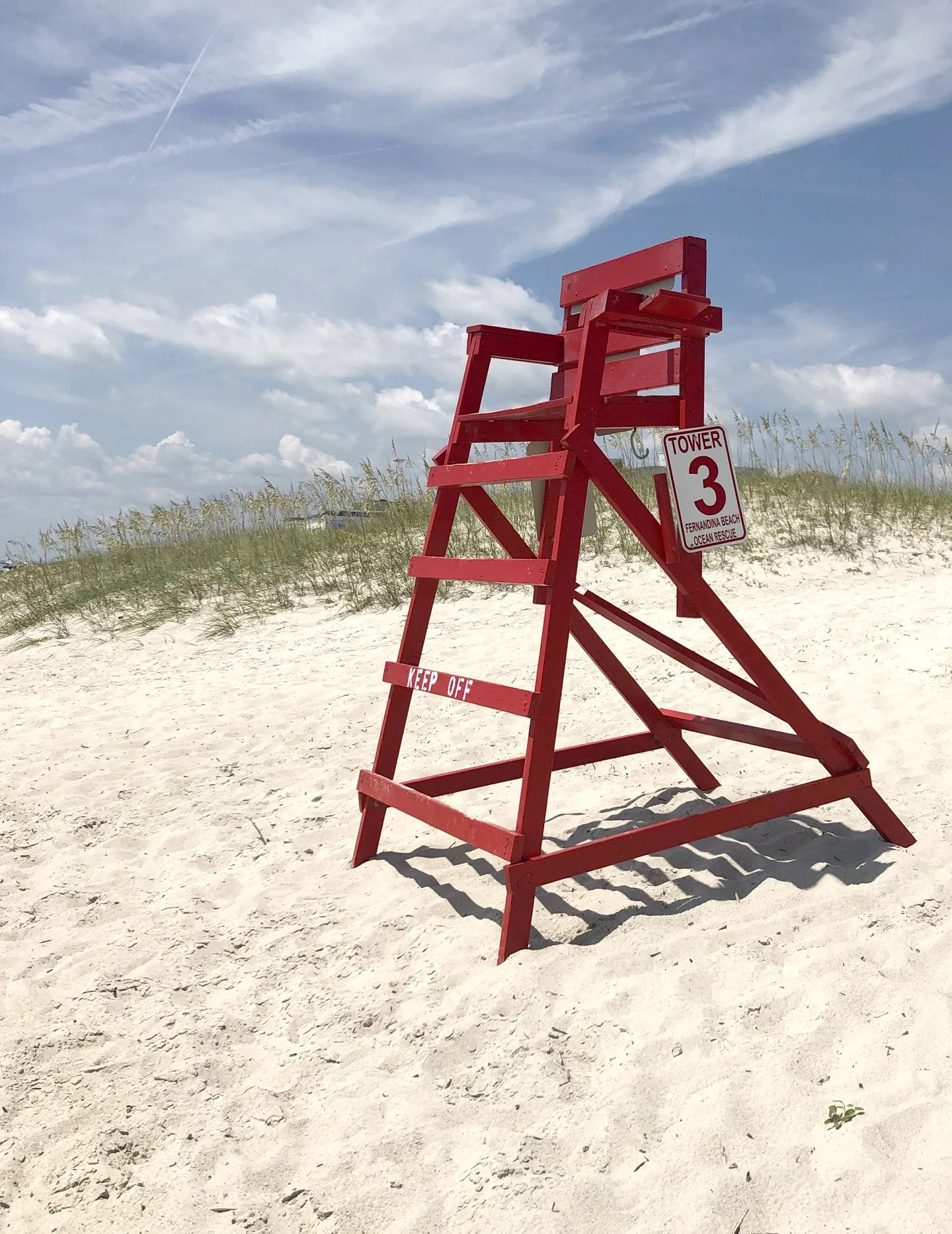 Florida Watercolor Workshop — Lisa Audit Art — Lisa Audit Art