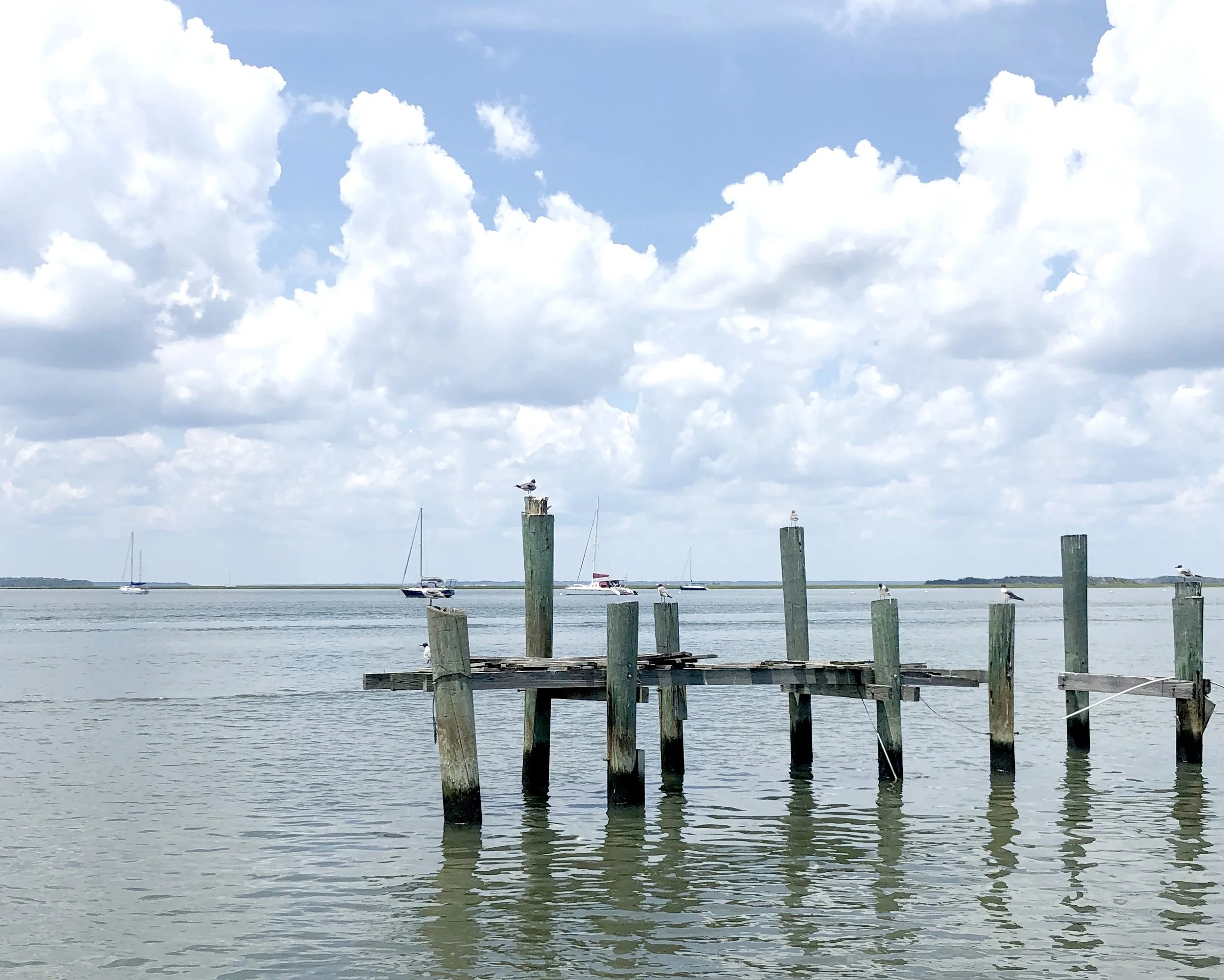 Florida Watercolor Workshop — Lisa Audit Art — Lisa Audit Art