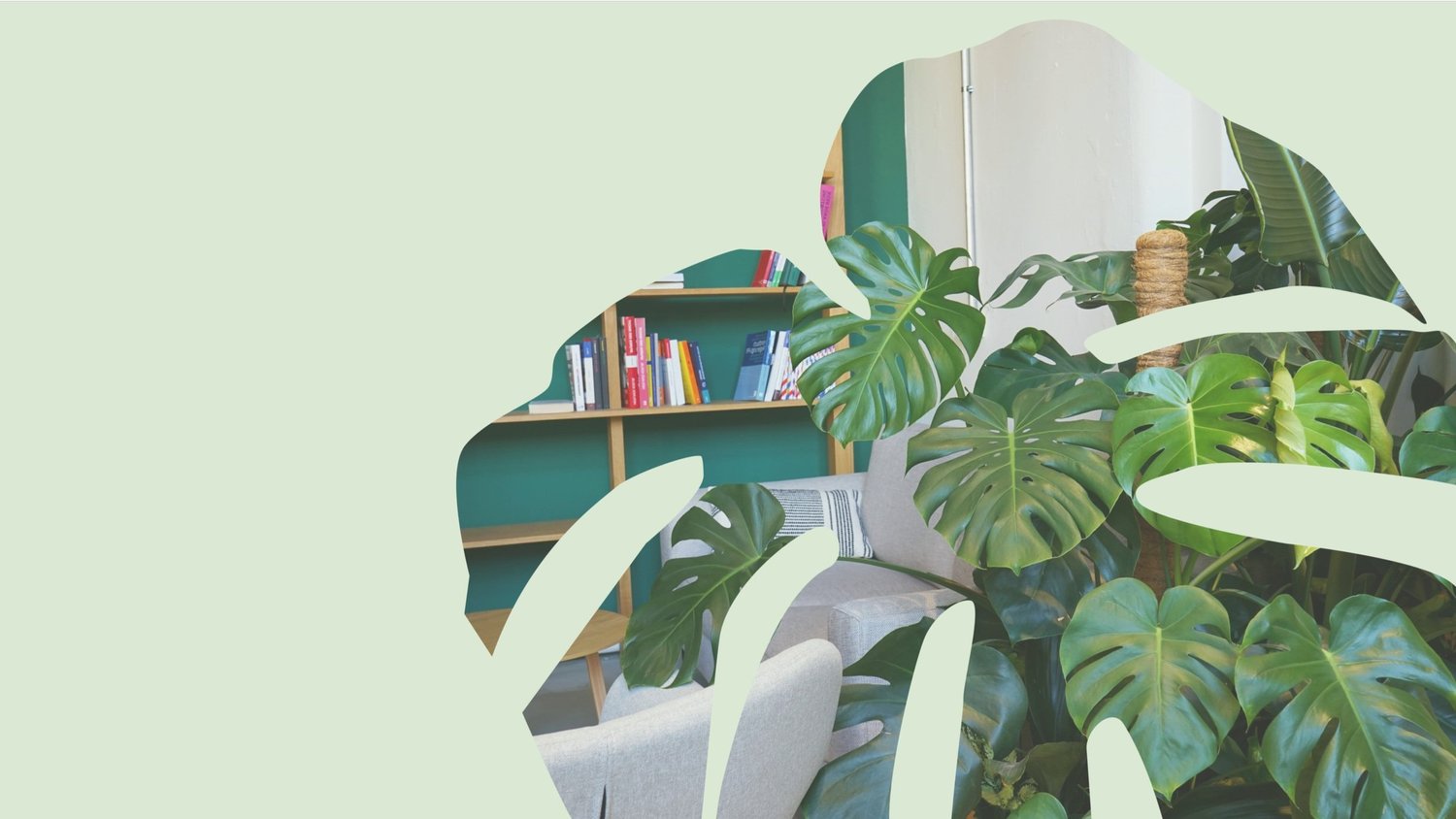 Green workplaces that grow with you | plantclub.io