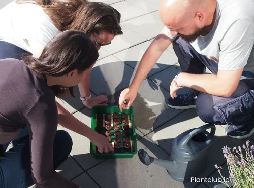 Plants wherever you work | plantclub.io