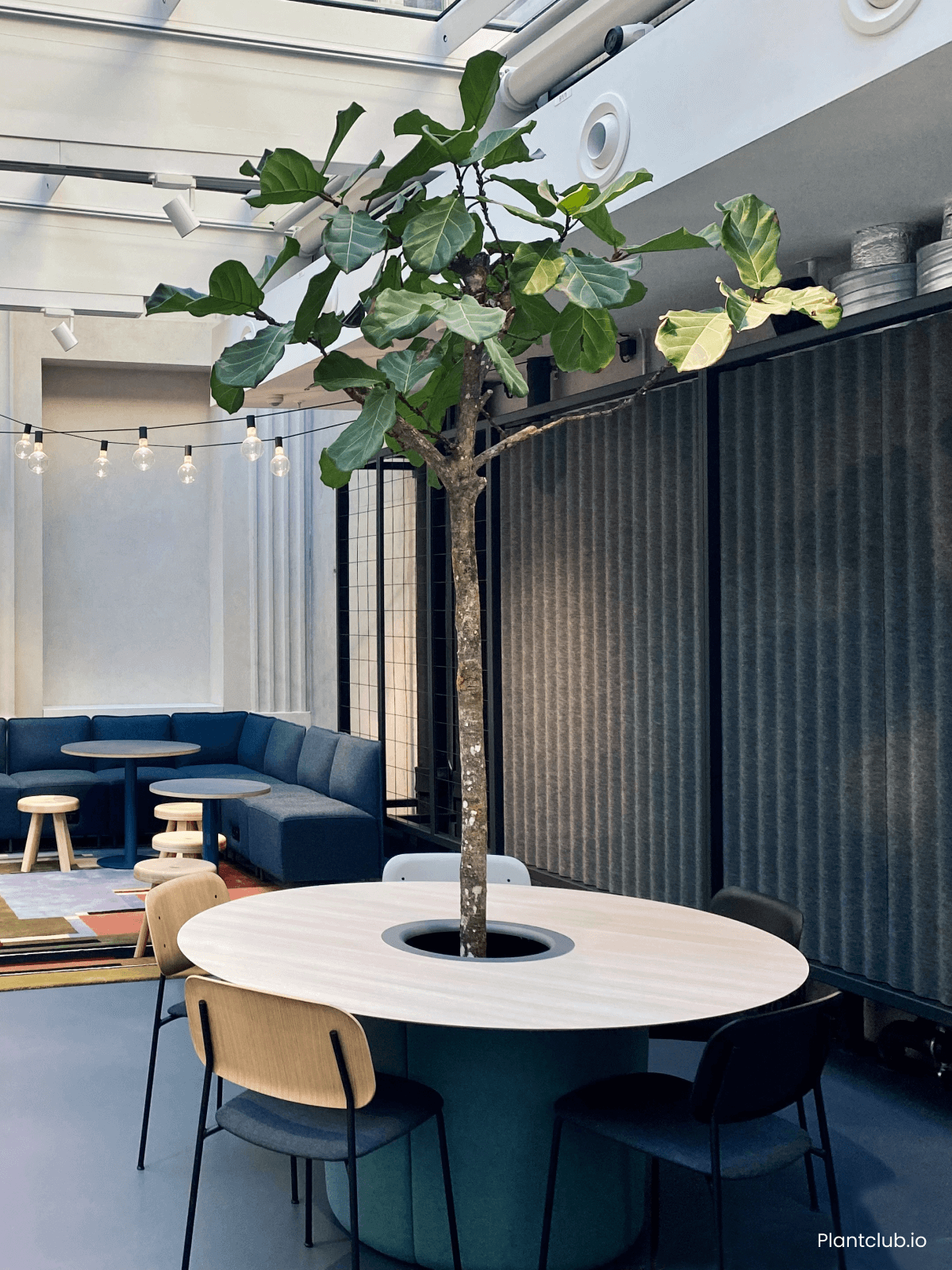 Spotify, Berlin | plantclub.io