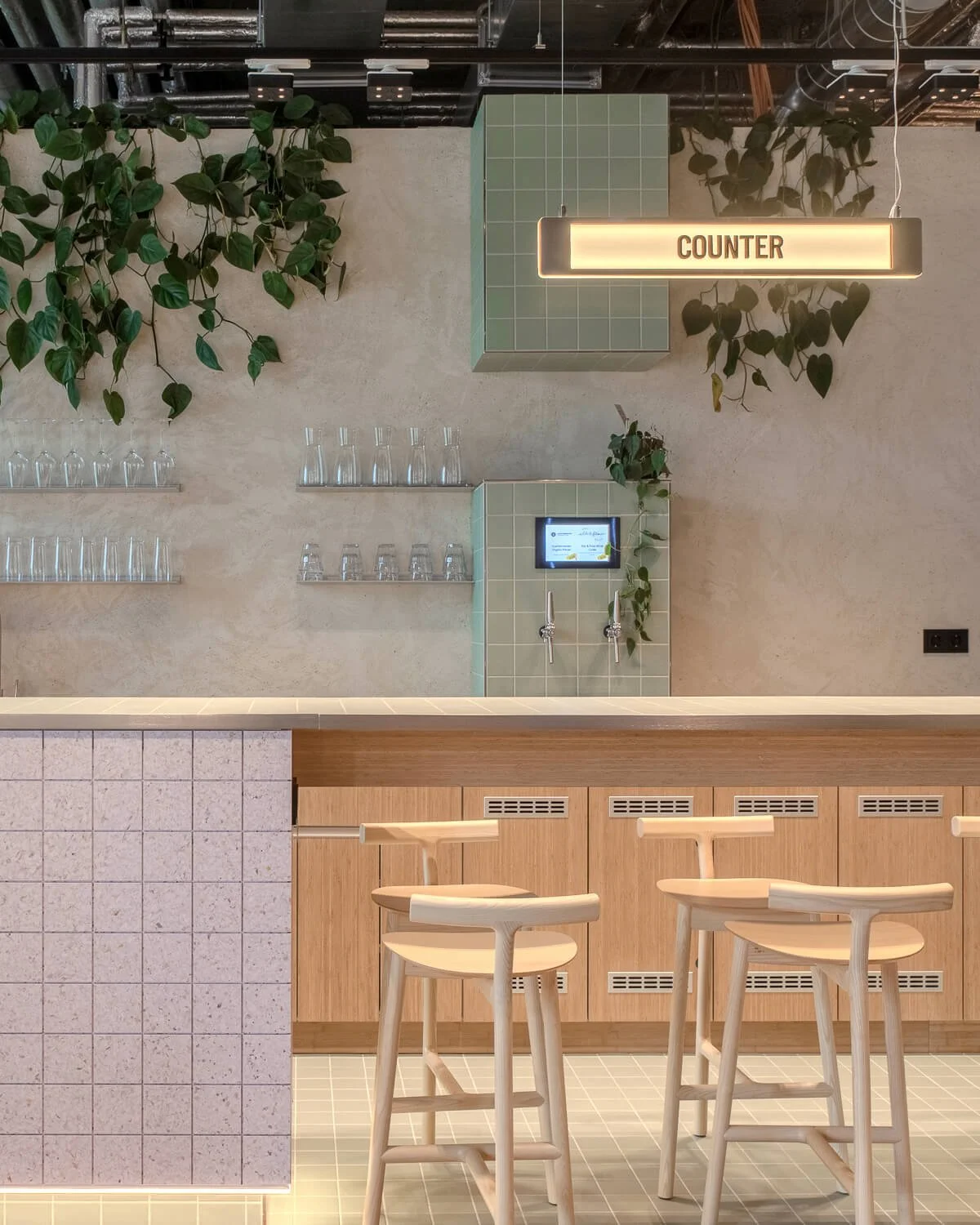 Rent office plants with Plantclub | plantclub.io