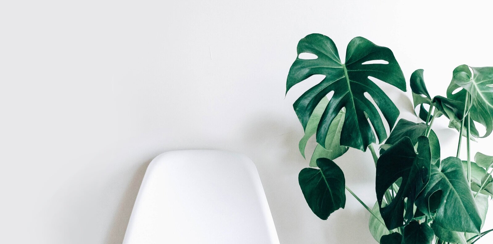 Plants wherever you work | plantclub.io