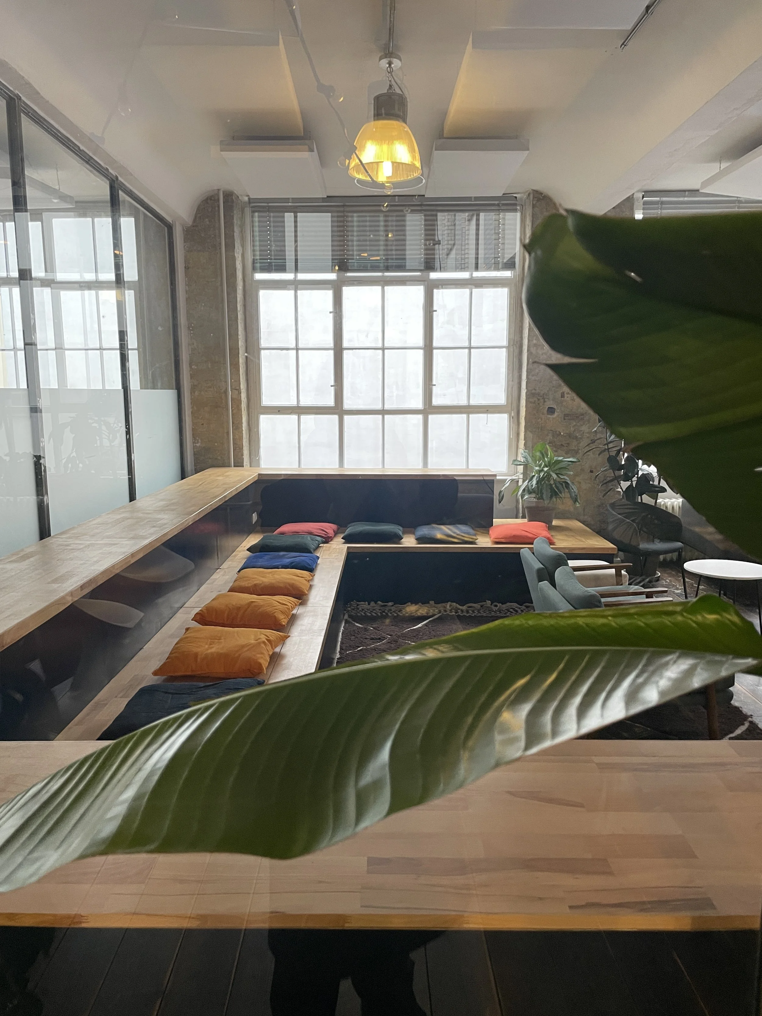 Rent office plants with Plantclub | plantclub.io