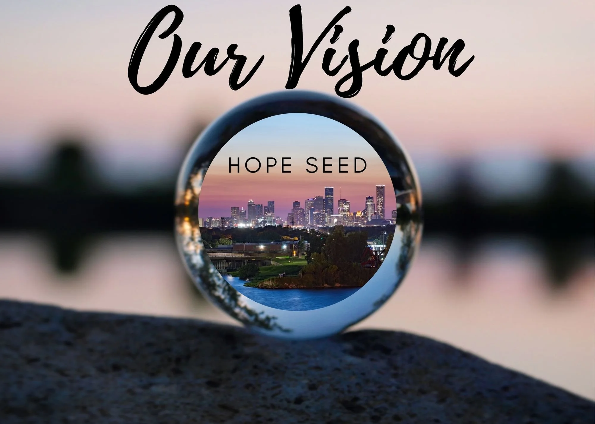 What We Do — Hope Seed Support Center