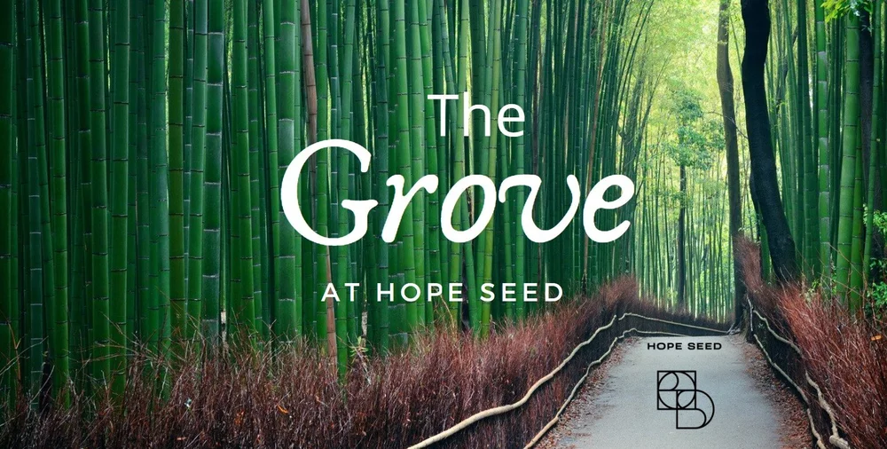 Services — Hope Seed Support Center