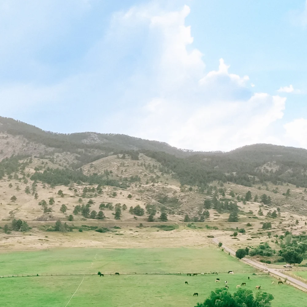 Wedding Venue Guide — Sylvan Dale Guest Ranch