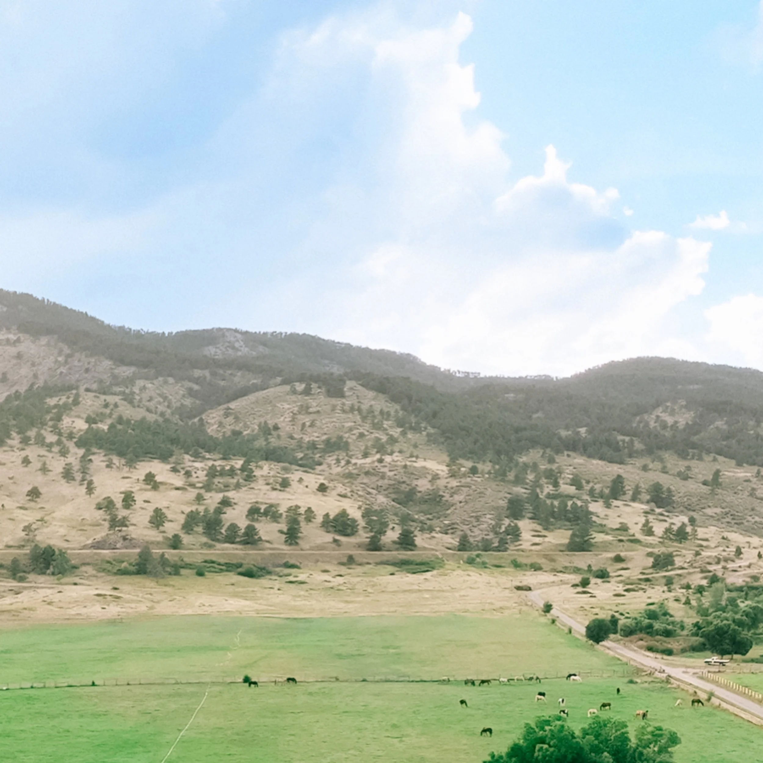 Wedding Venue Guide — Sylvan Dale Guest Ranch