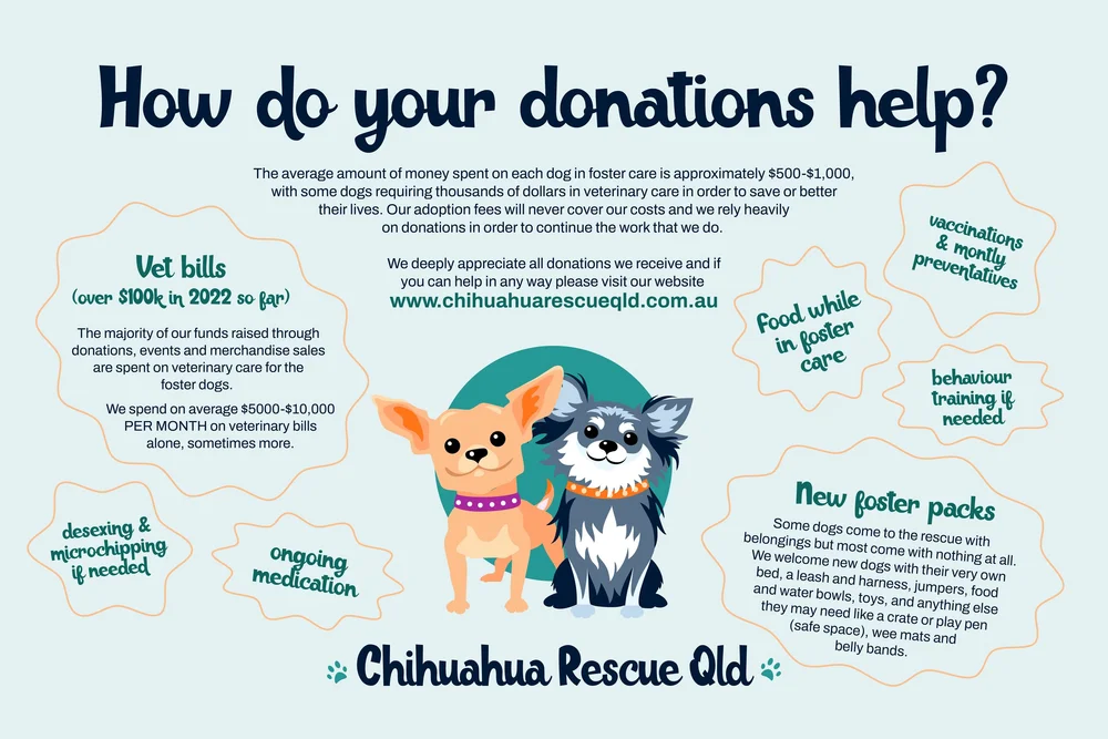 How Many Dogs Can You Own In Queensland